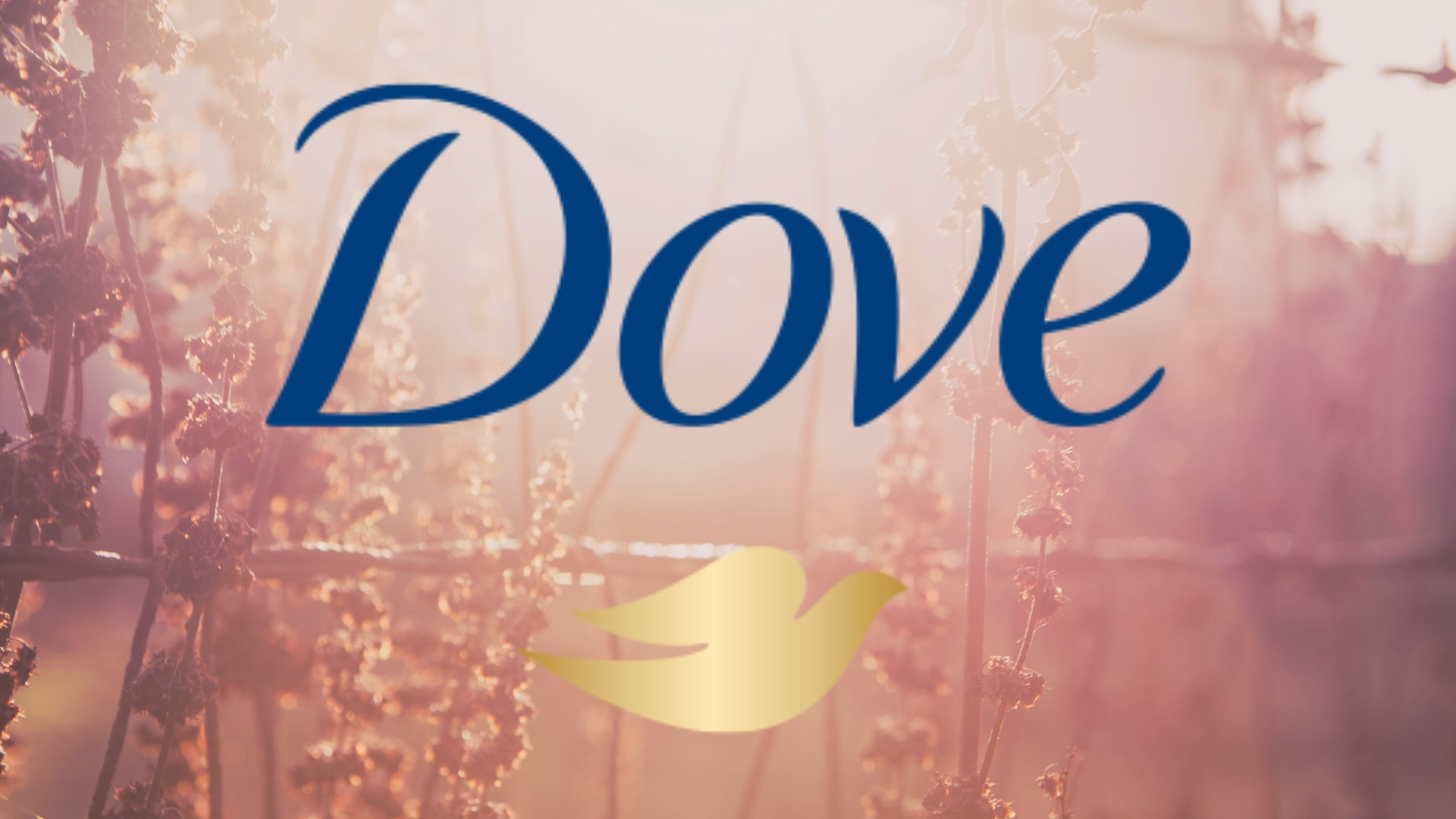 DOVE REAL BEAUTY: UNA STRATEGIA COMUNICATIVA CONTROCORRENTE – CIMO